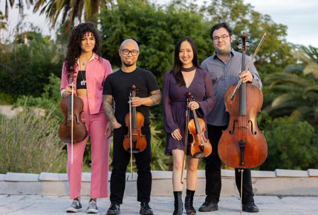 Vitamin String Quartet